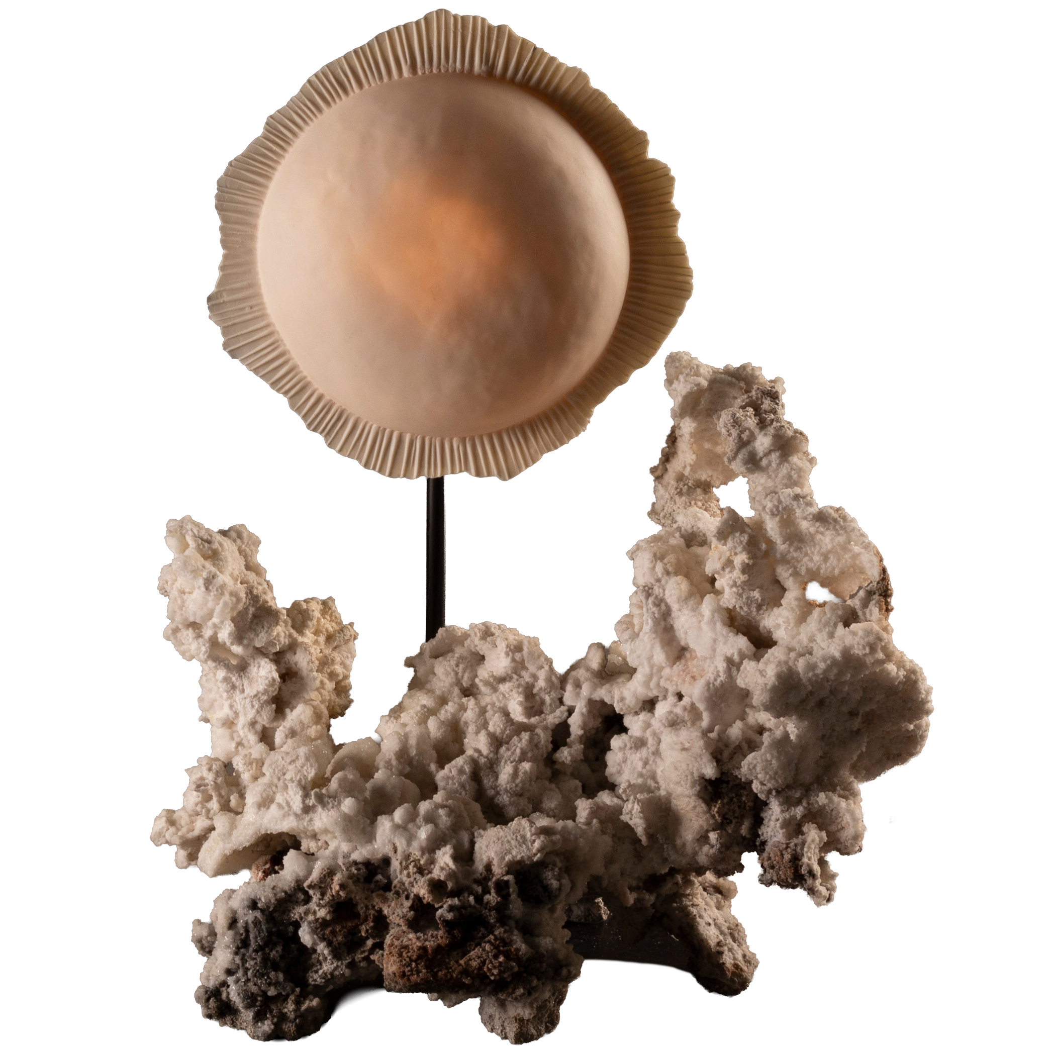 Luna 2 – Studio Greytak